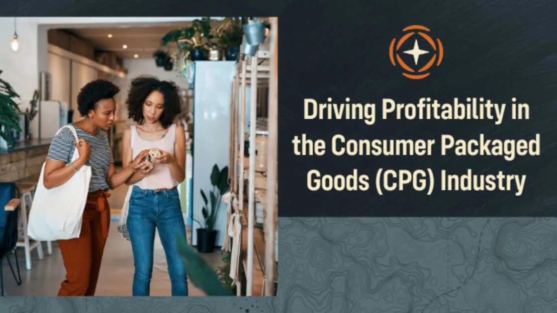 Driving Profitability in the Consumer Packaged Goods (CPG) Industry: A ...